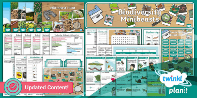 Primary Resources - KS2, KS1, Early Years (EYFS) KS3, KS4, Twinkl