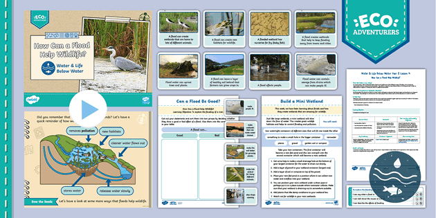 Primary Resources - KS2, KS1, Early Years (EYFS) KS3, KS4, Twinkl