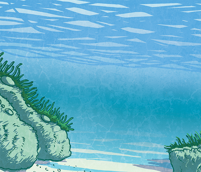 What Is An Ocean Twinkl
