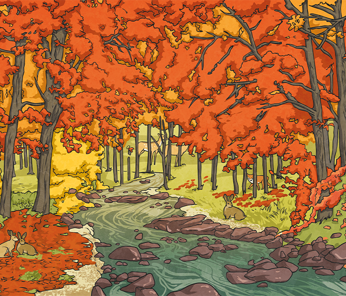 What Is A Woodland Twinkl What Is A Woodland Twinkl
