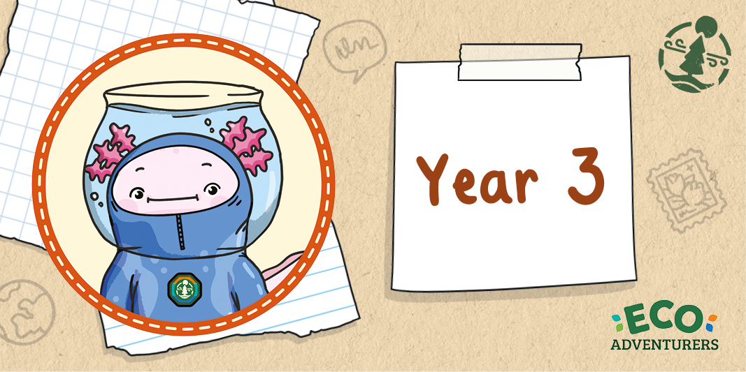 Printable and Digital Teacher Resources | Twinkl USA