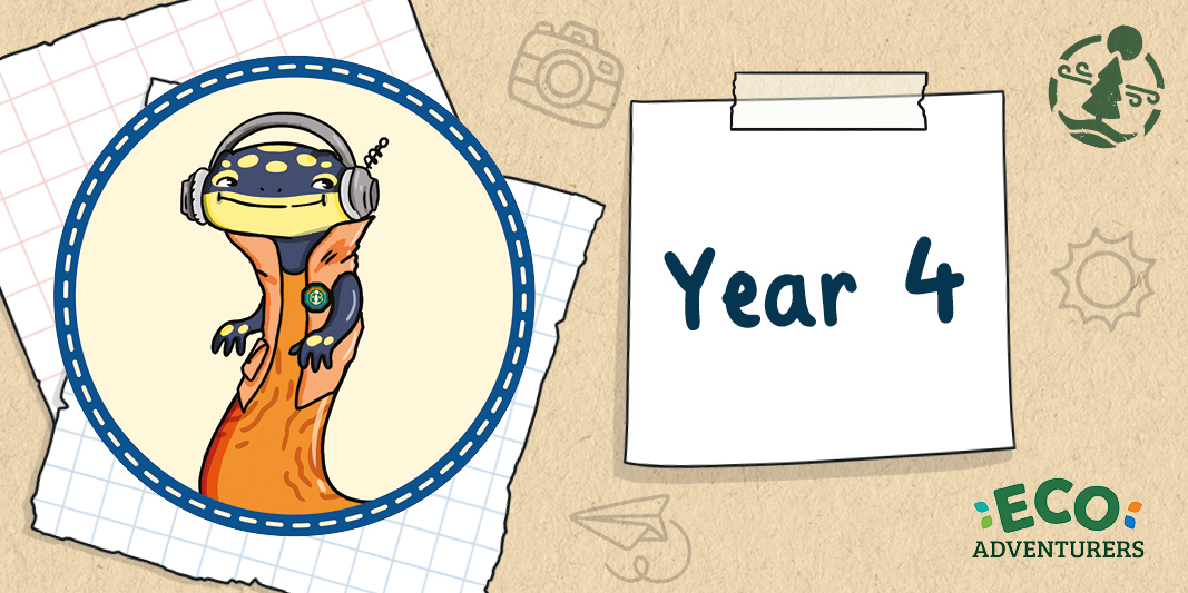 Primary Resources - KS2, KS1, Early Years (EYFS) KS3, KS4, Twinkl