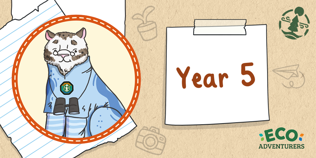 Primary Resources - KS2, KS1, Early Years (EYFS) KS3, KS4, Twinkl