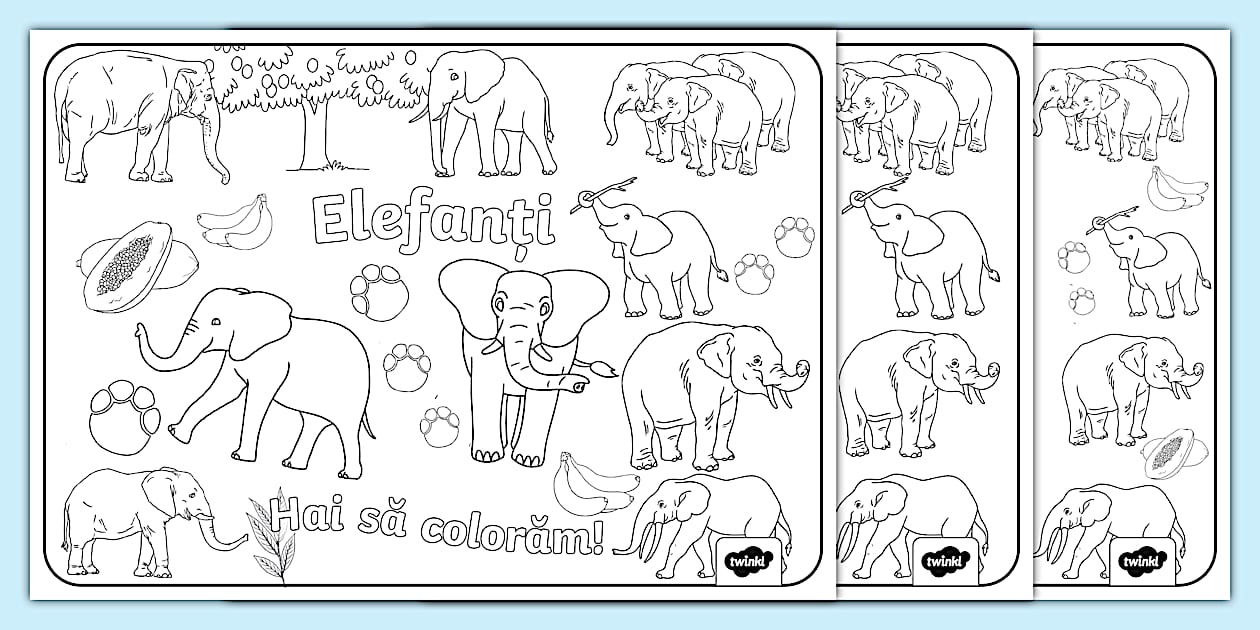 Elefanți – Desene de colorat (teacher made) - Twinkl