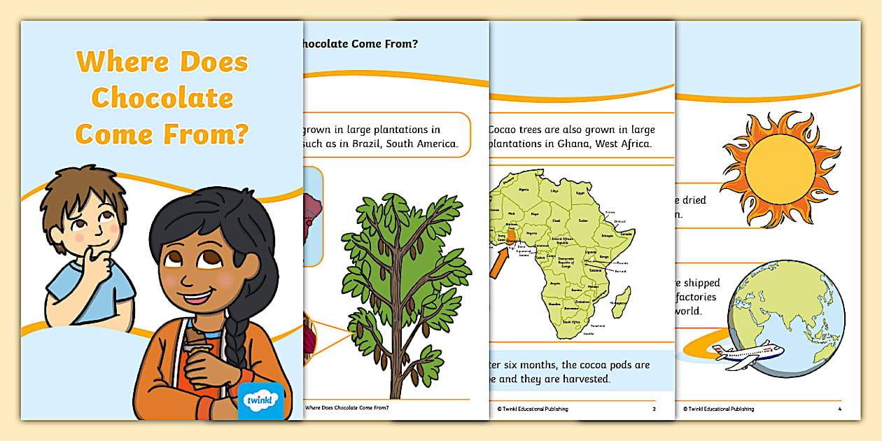 Where Does Chocolate Come From? - Where Chocolate Comes From Matching ...