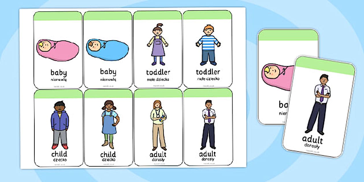 Stages of Growth Flash Cards Polish Translation - Twinkl