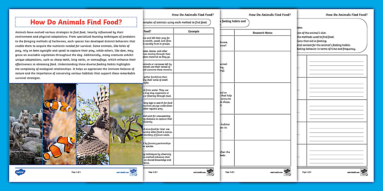 Seventh Grade How Do Animals Find Food? Worksheet