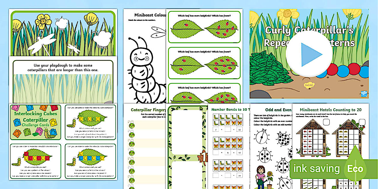 👉 EYFS Minibeasts Maths Resource Pack (teacher made)
