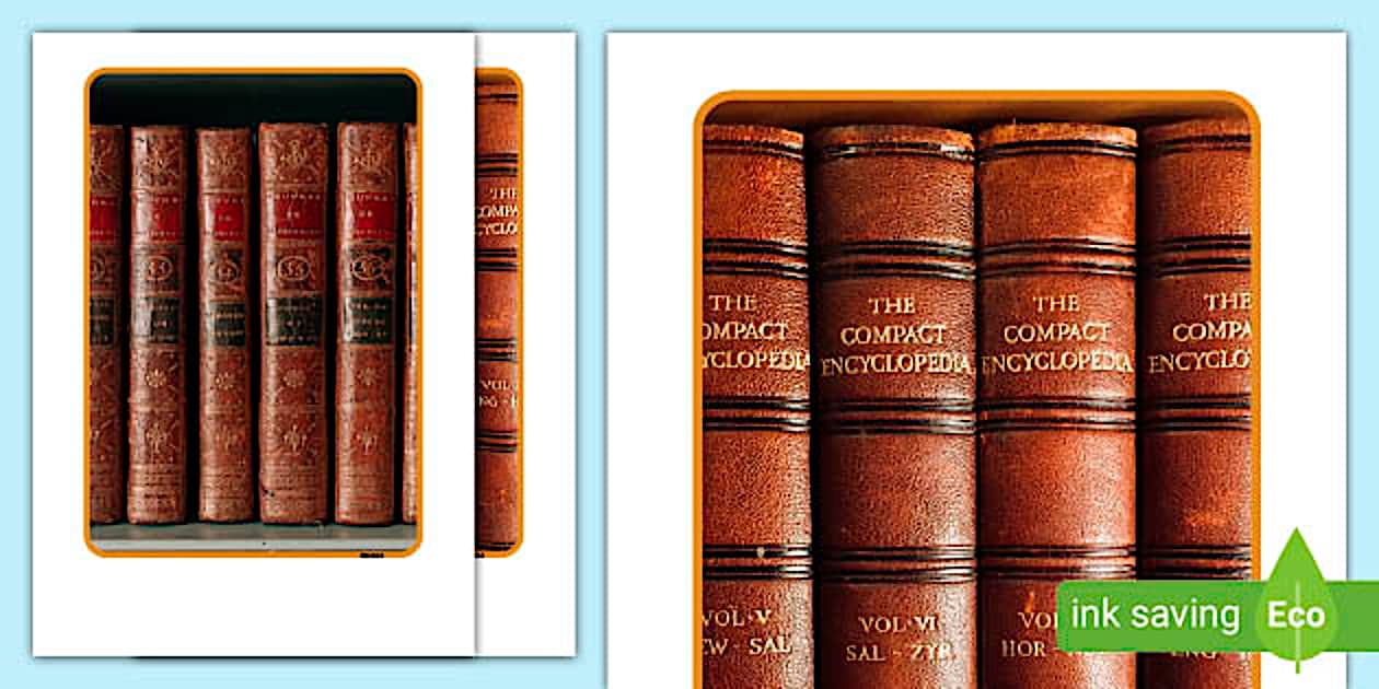 Library Book Display (teacher made) - Twinkl