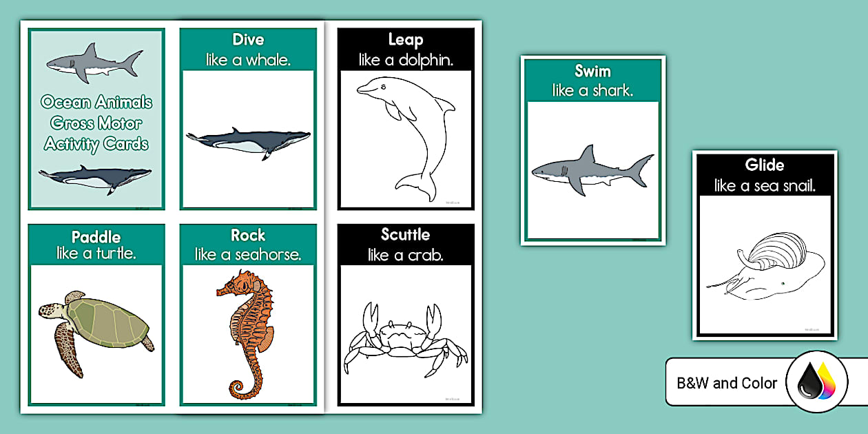 Ocean-Themed Gross Motor Cards | Resource | Twinkl USA