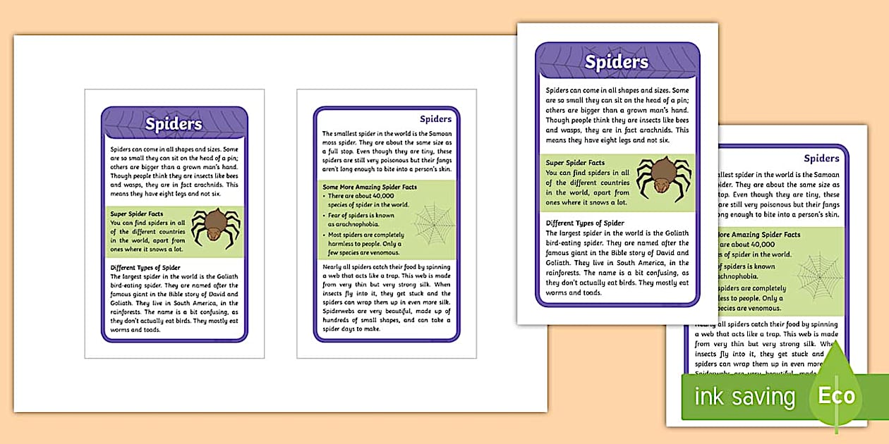 Editable Spiders Fact File IKEA Tolsby/Fiestad Frame