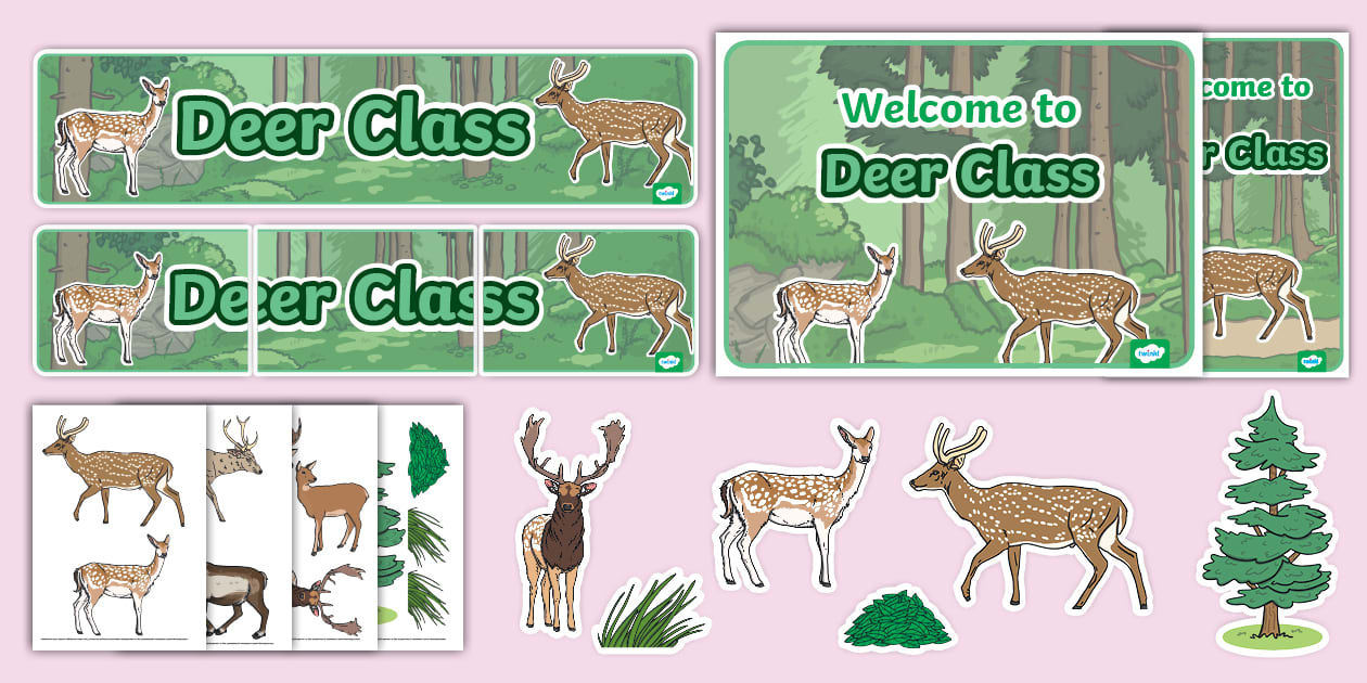 Deer Class Display Pack - KS1 (teacher made) - Twinkl