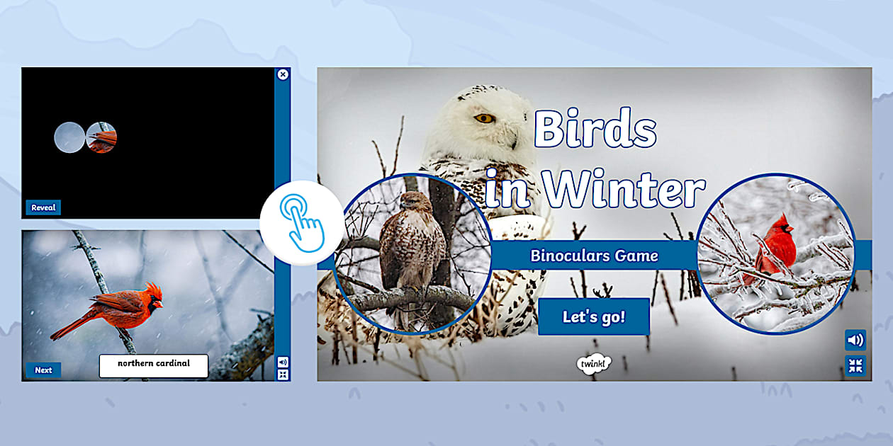 Birds in Winter Interactive Binoculars Game (teacher made)