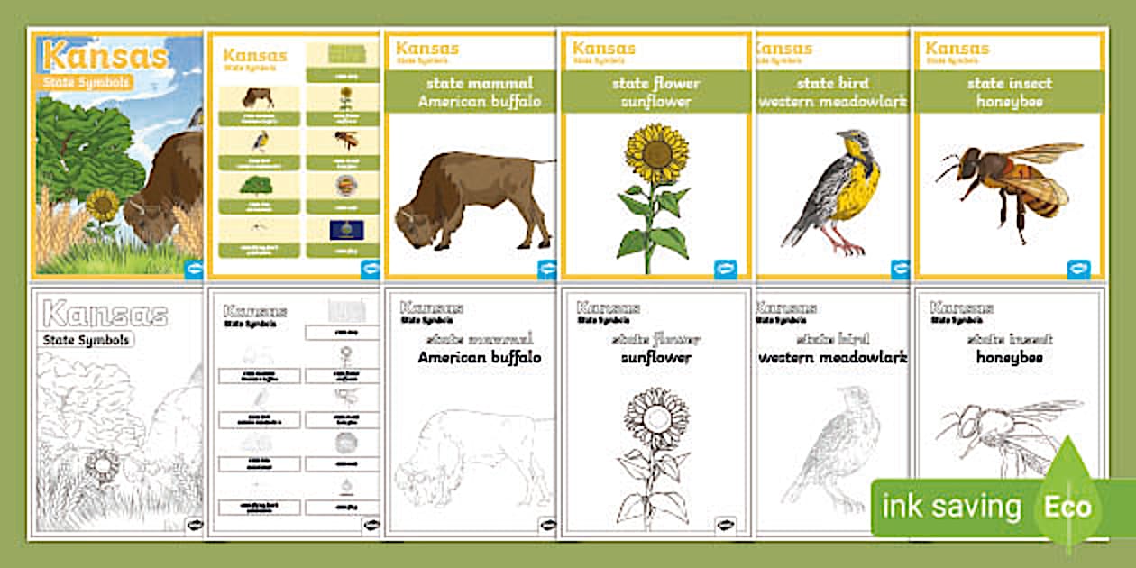 Kansas State Symbols Printable Posters | Kansas Day | Twinkl