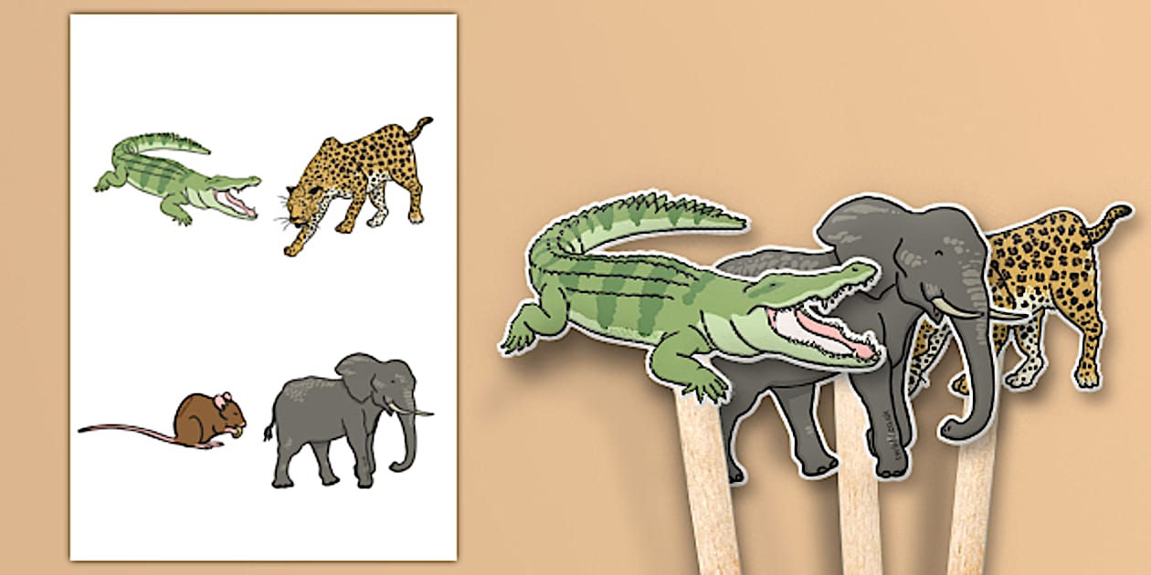 Black and White Crocodile Themed Stick Puppets - Twinkl