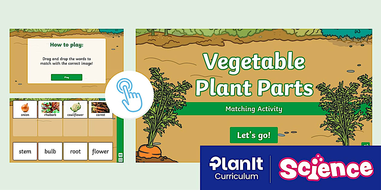 Vegetable Plant Part Matching Game
