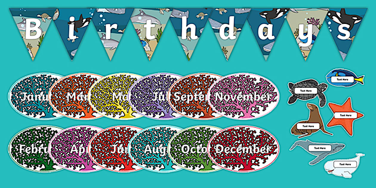 Ocean Birthday Display (teacher made) - Twinkl