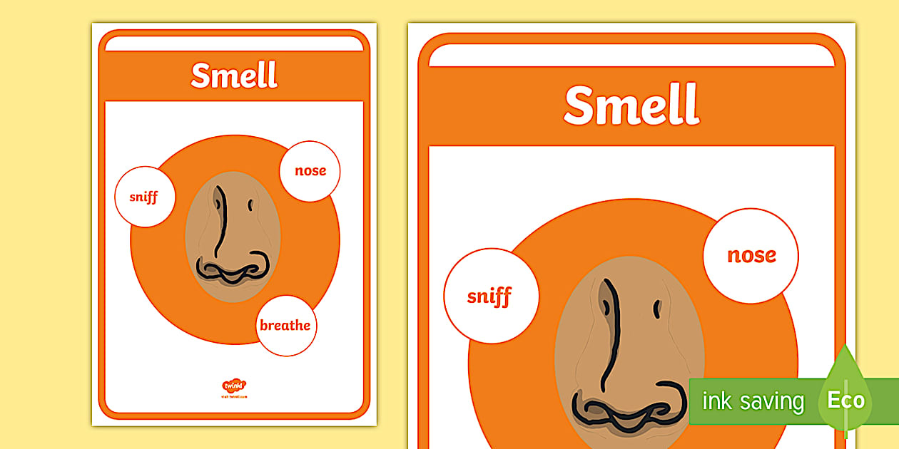 👉 The Five Senses Smell A4 Display Poster - Twinkl