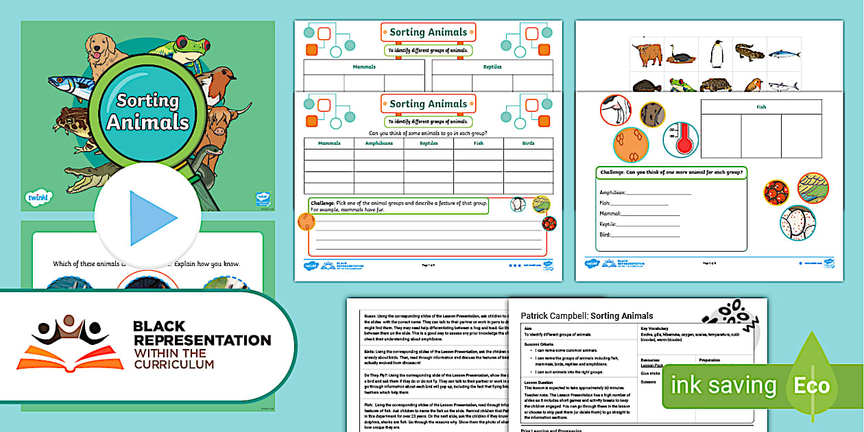 Patrick Campbell KS1: Sorting Animals (Teacher-Made)