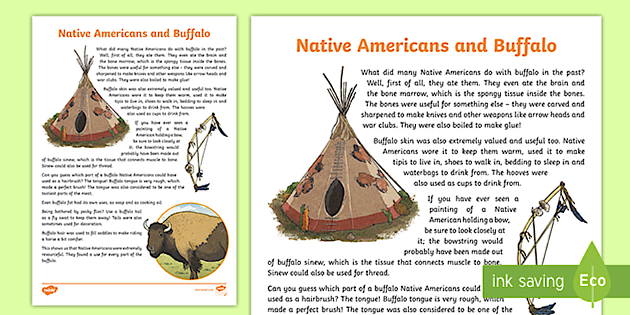 Native American and Buffalo Information Sheet - CfE - Twinkl