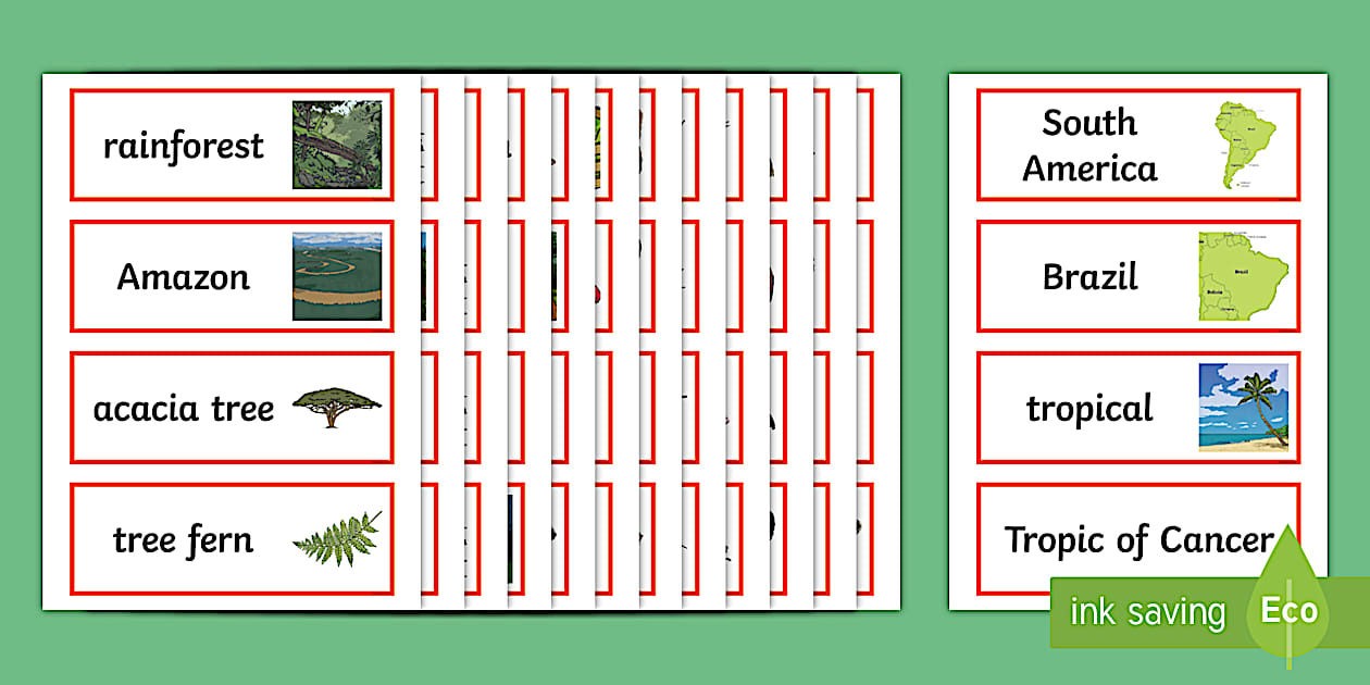 Rainforest Plants Names Word Cards - KS2 Resources - Twinkl