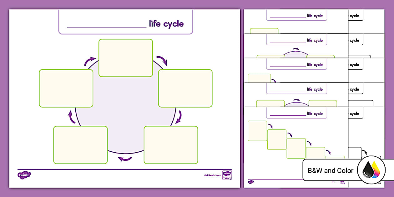 Life Cycle Templates for K-2nd Grade (teacher made) - Twinkl