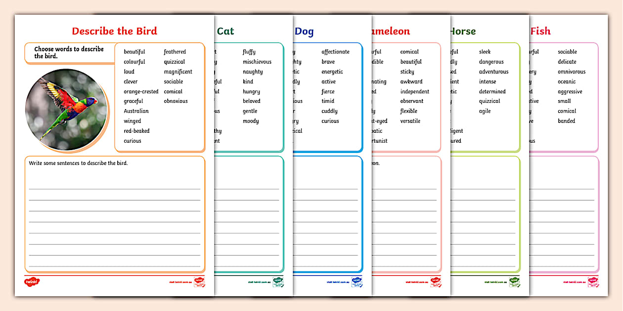 Describe the Pets Writing Activity Pack (teacher made)