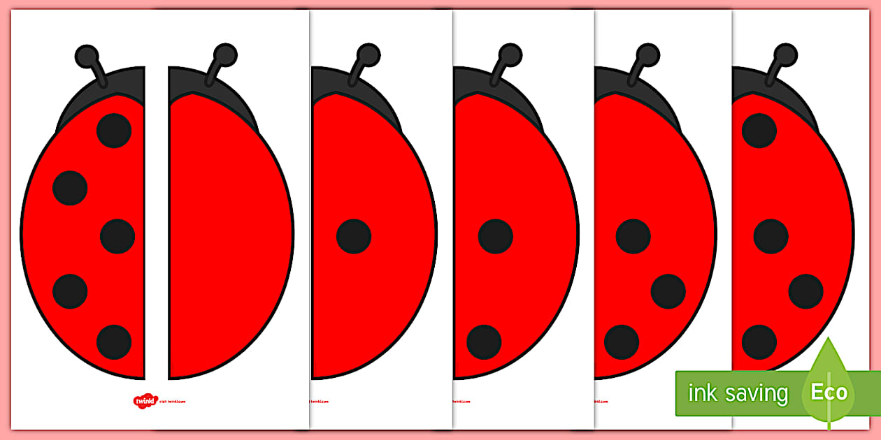 Editable Ladybird Spot Number Bonds of 5 Matching Activity