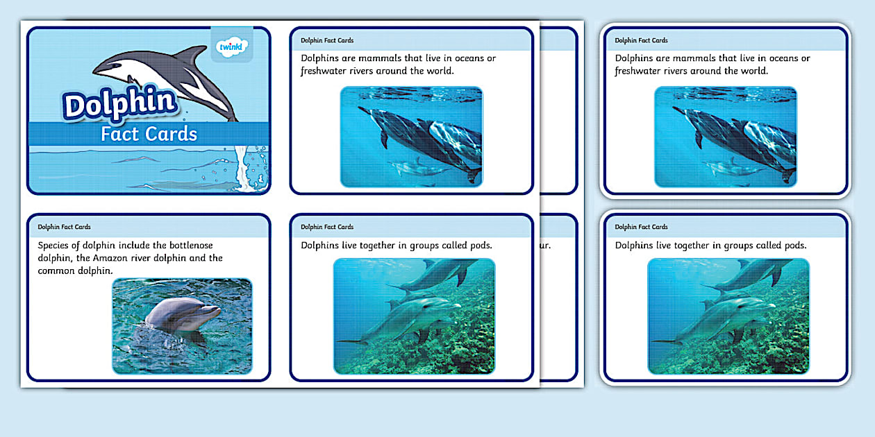 KS1 Dolphin Fact Cards - Mammals - Twinkl