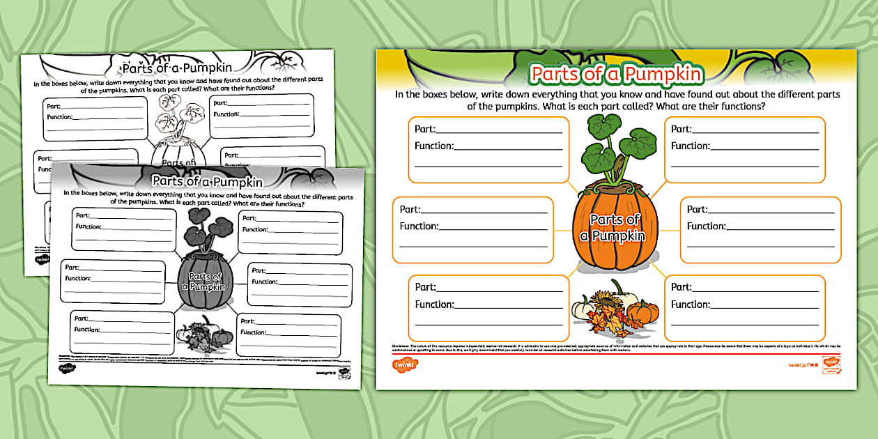 Parts of a Pumpkin Mind Map - Twinkl Mind Maps - Twinkl