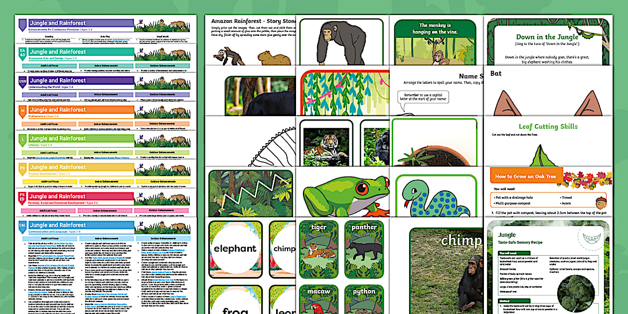 EYFS Jungle and Rainforest Planning Pack (Ages 2-4) | Twinkl