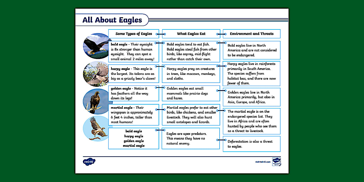 All About Eagles Chart for 3rd-5th Grade - Twinkl