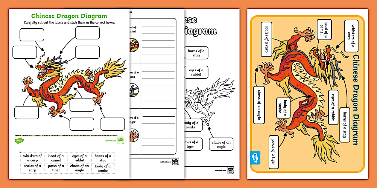 Chinese Dragon Diagram Pack (teacher made) - Twinkl