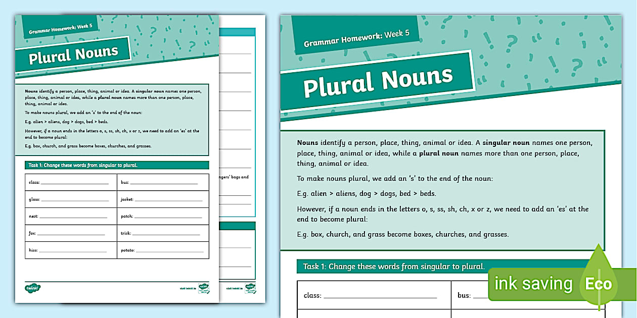 Grammar Homework Week 5 Plural Nouns 3rd/4th Class - Twinkl
