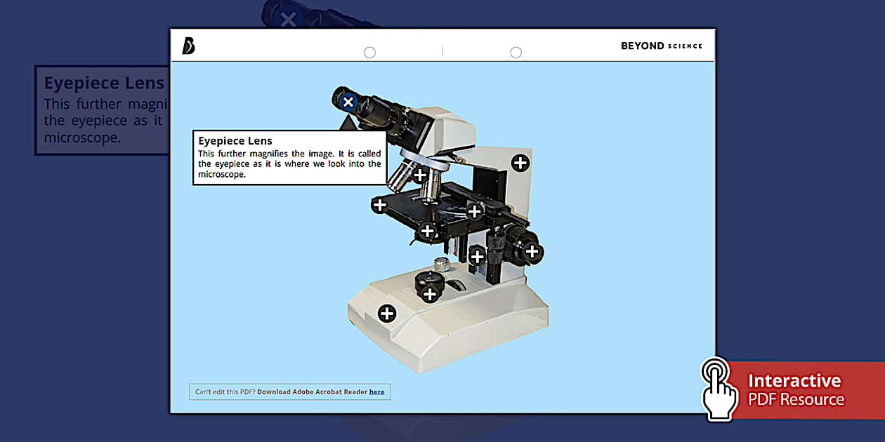 Parts of the Microscope Picture Hotspots | Science | Beyond