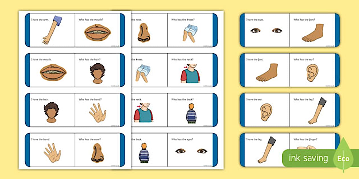 Parts of the Body Loop Cards (Teacher-Made) - Twinkl