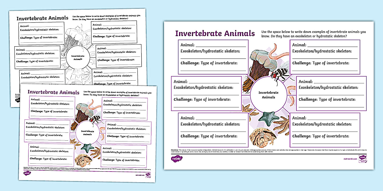 Invertebrate Animals Mind Map