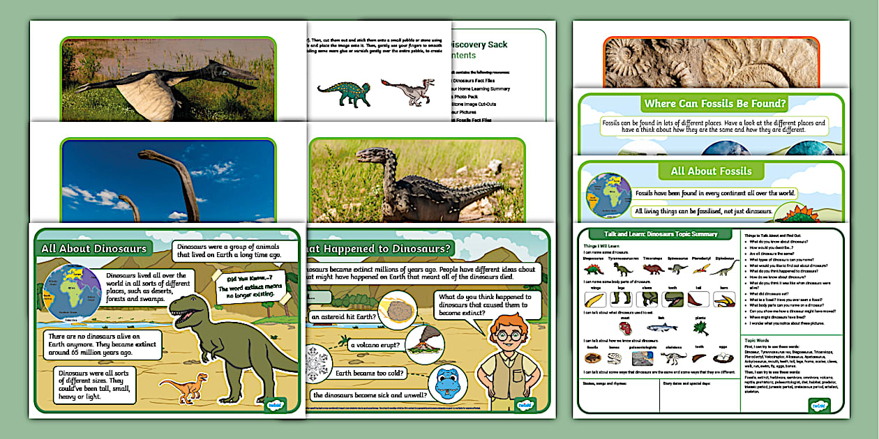 EYFS Dinosaurs Discovery Sack | Twinkl (teacher made)