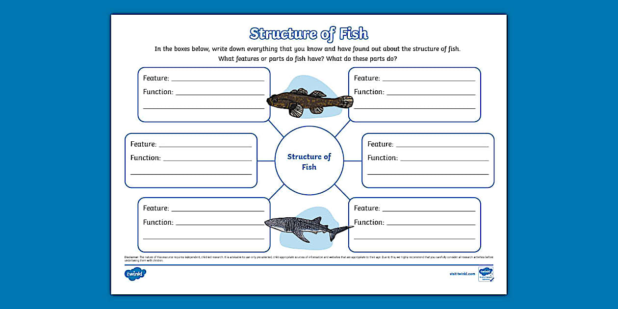 Structure of Fish Mind Map