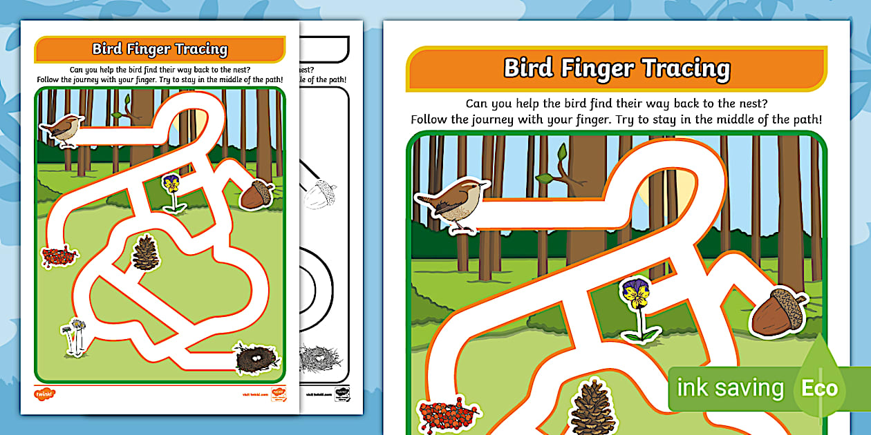 Bird Finger Tracing Activity (teacher made) - Twinkl
