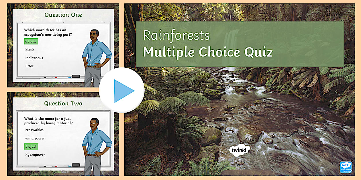 Rainforests Quiz PowerPoint (teacher made) - Twinkl