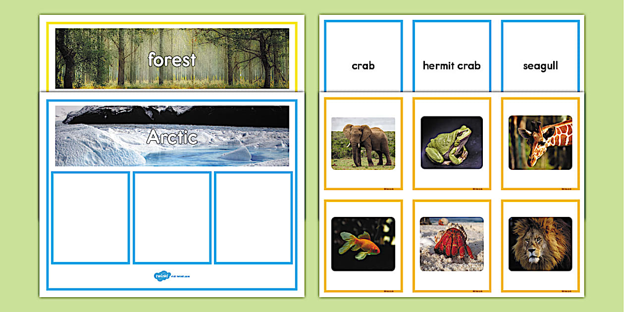 Printable Animal Habitat Flashcards | Twinkl USA - Twinkl