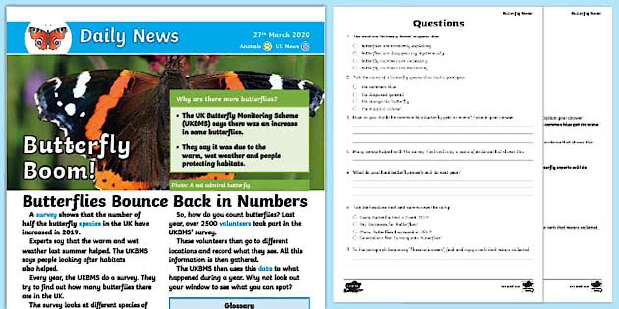 Butterfly Numbers on the Rise Daily News Story (ages 7-9)