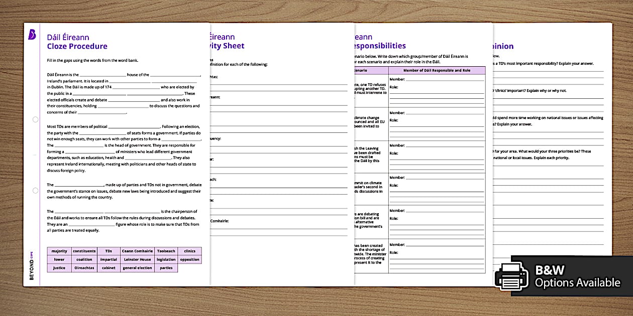 Dáil Éireann Activity (teacher made) - Twinkl
