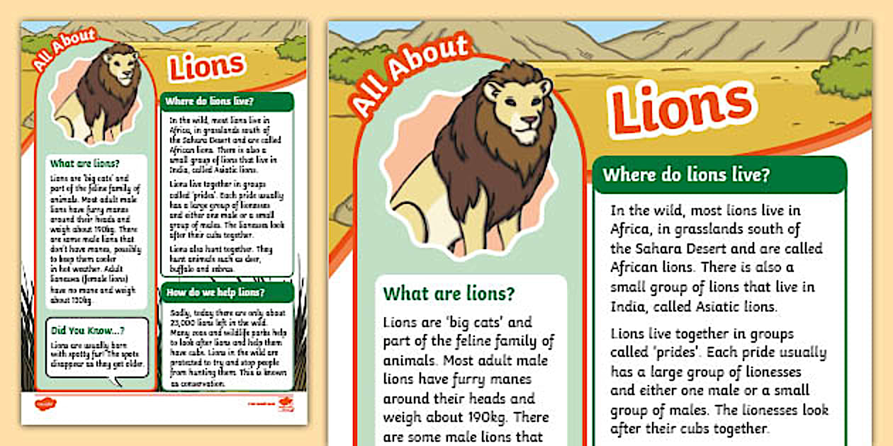 KS1 All About Lions Reading Comprehension Activity - Twinkl