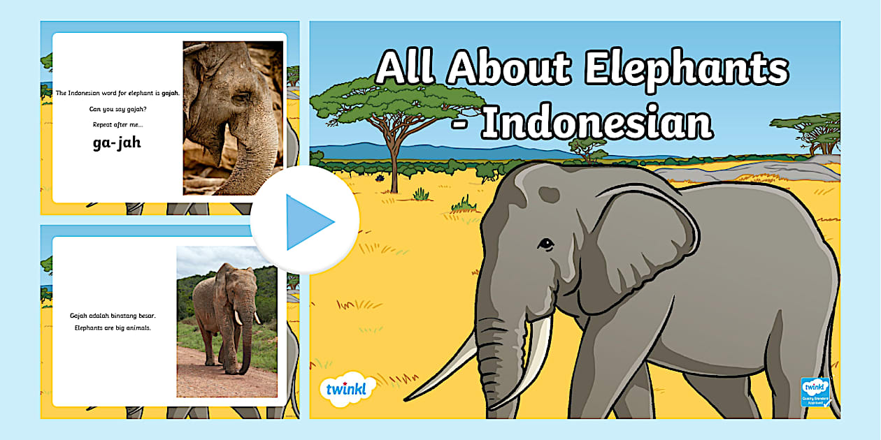 Indonesian Animals: All About Elephants - Indonesian