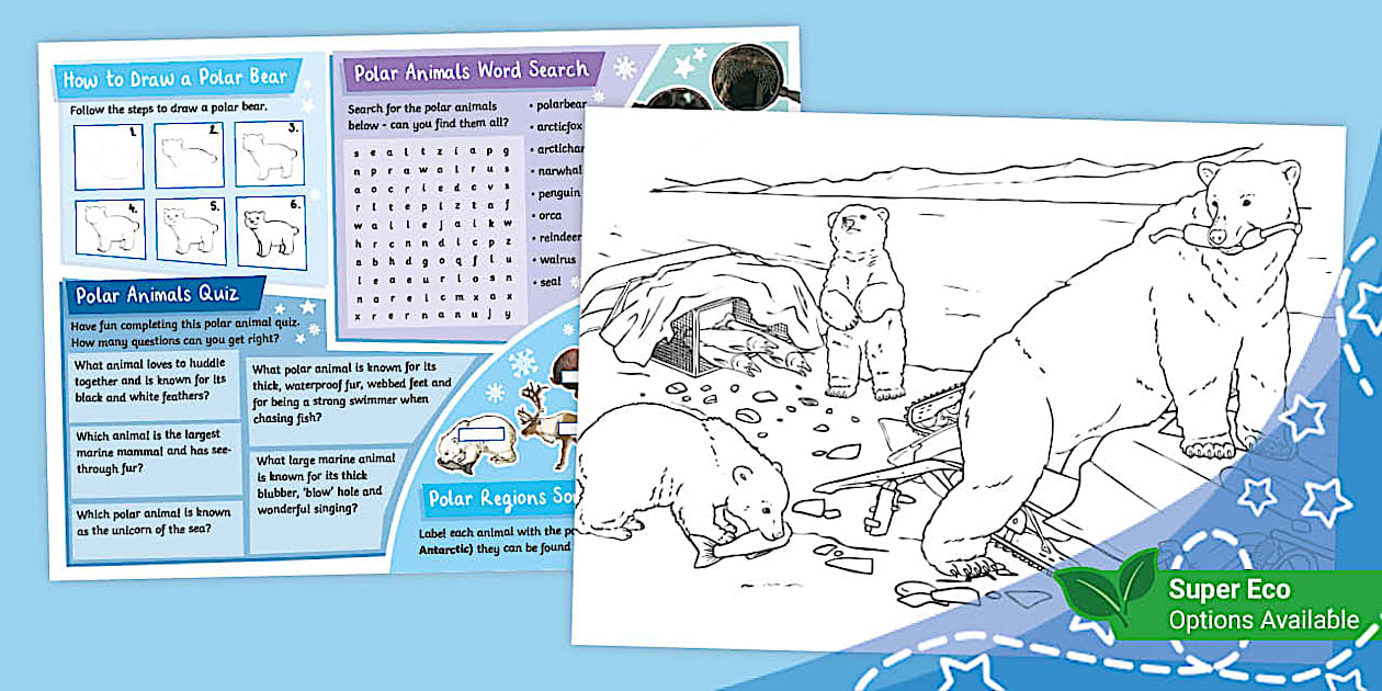 Polar Tiny Activity Mat Age 9 - 11 (teacher made) - Twinkl