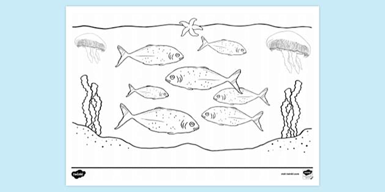 Fish in the Sea Colouring Sheet | Colouring Sheets - Twinkl