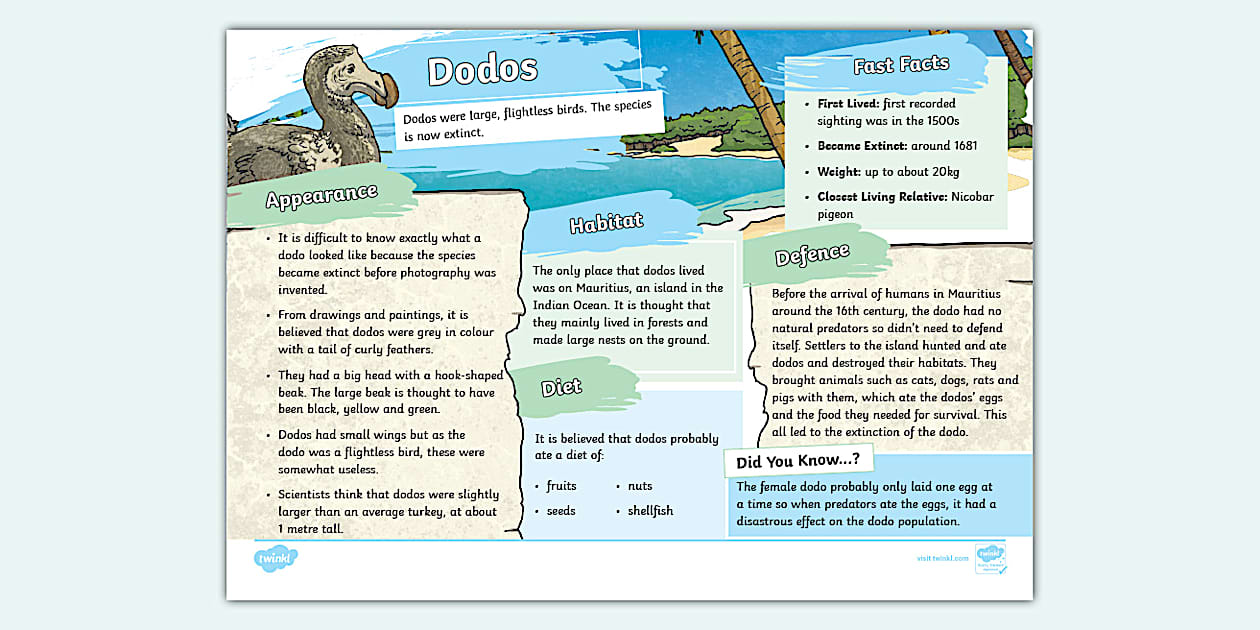 KS2 Dodo Fact File - KS1 (teacher made) - Twinkl