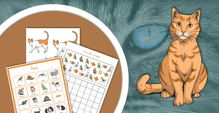 National Pet Month | Event Info and Resources - Twinkl